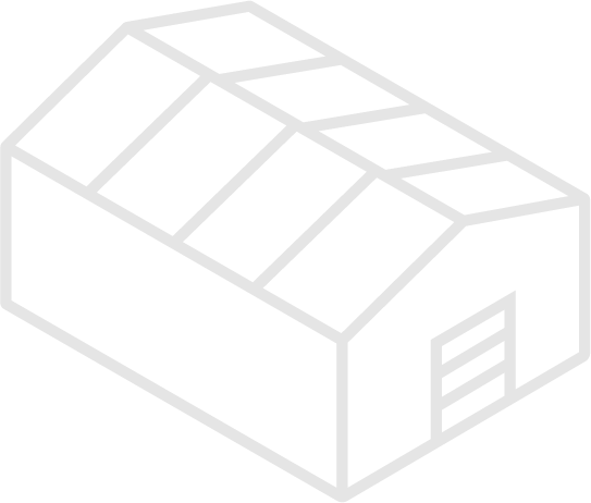 Avi Cargo Services